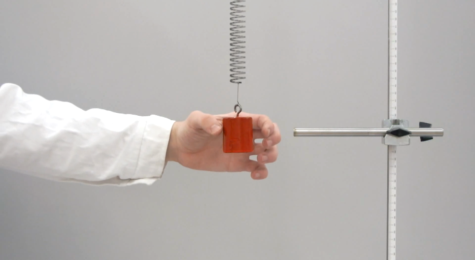 The motion of an object on a spring (basic) - 电子课程 - CN Mozaik电子教育与学习